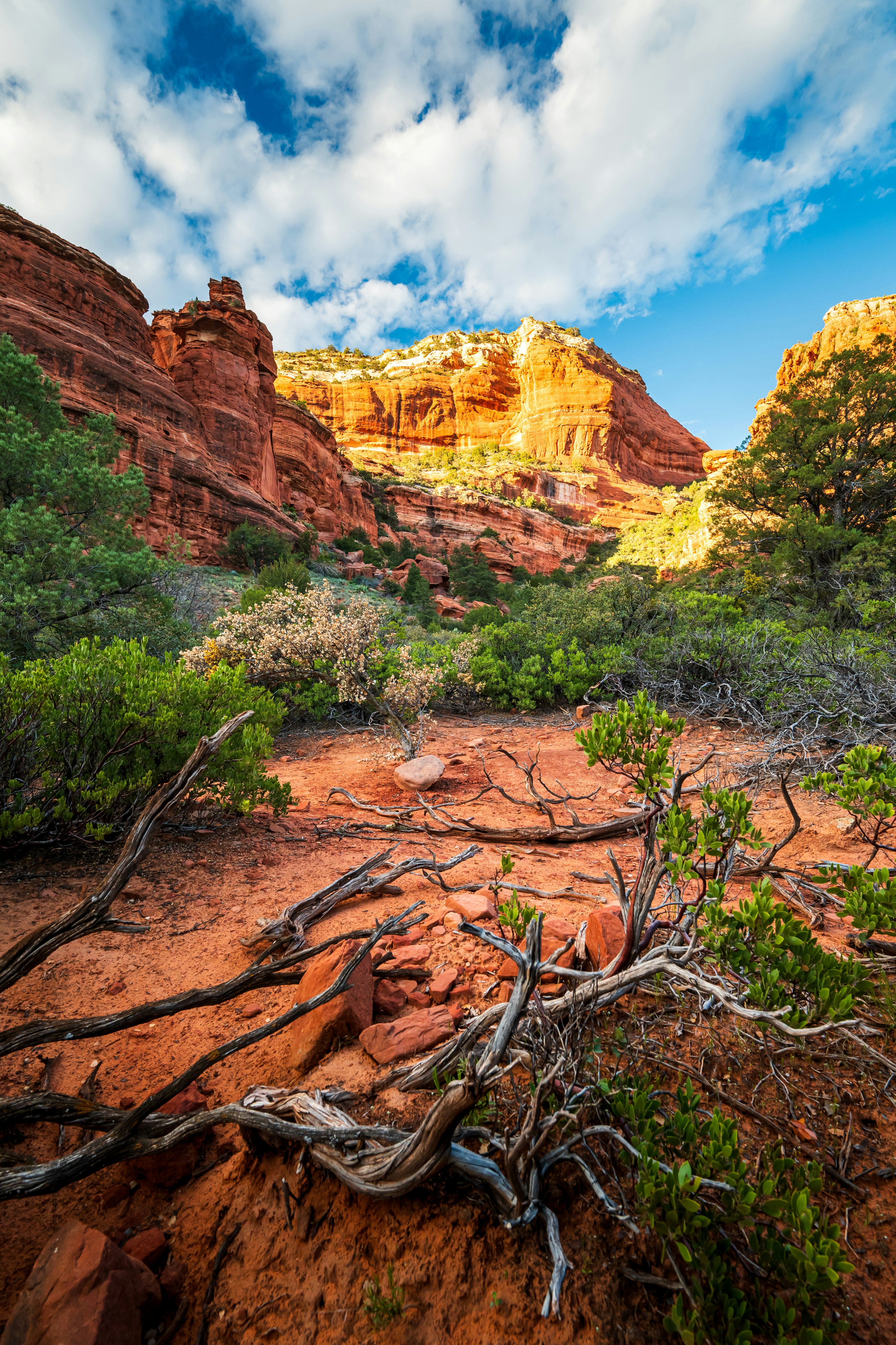 The Southwest - Benchmark Resorts & Hotels