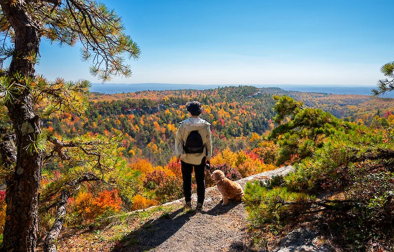 Distinct Experiences. Iconic Destinations. | Benchmark Resorts & Hotels